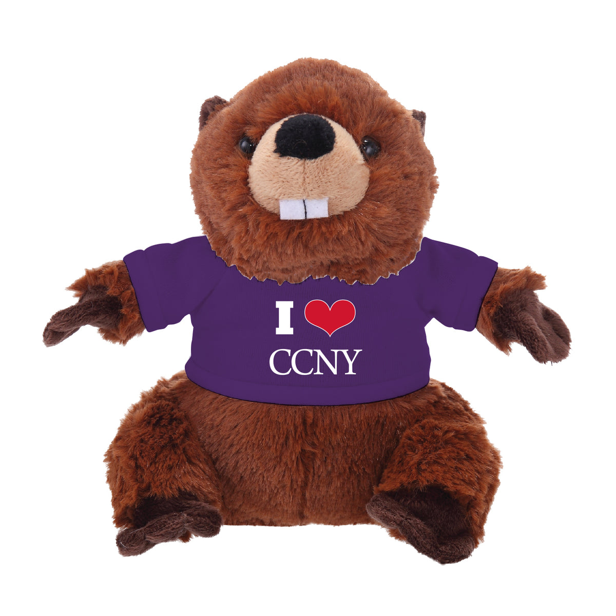 Beaver Plush – Bennys Campus Store